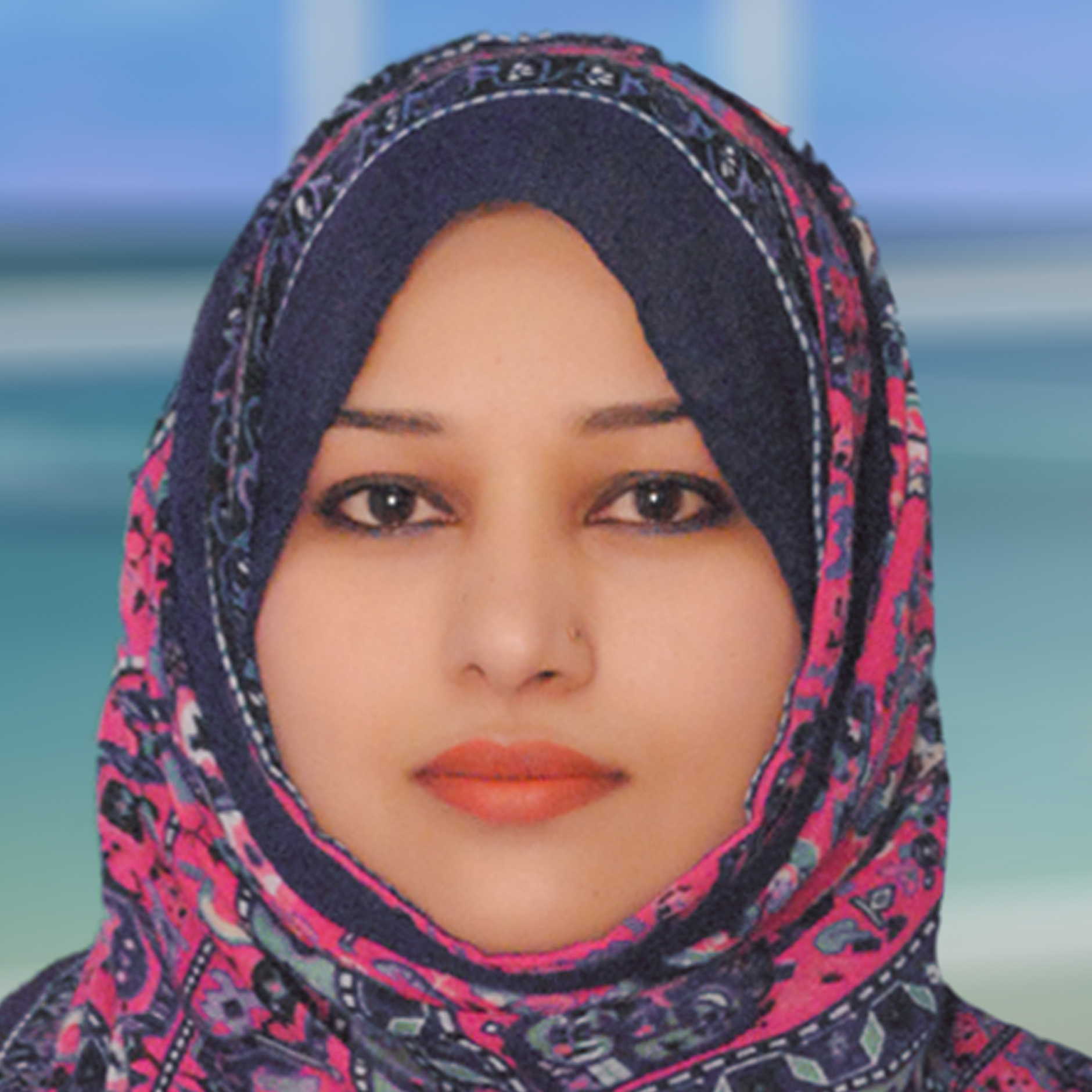 DSE Committee - Capital University of Science & Technology