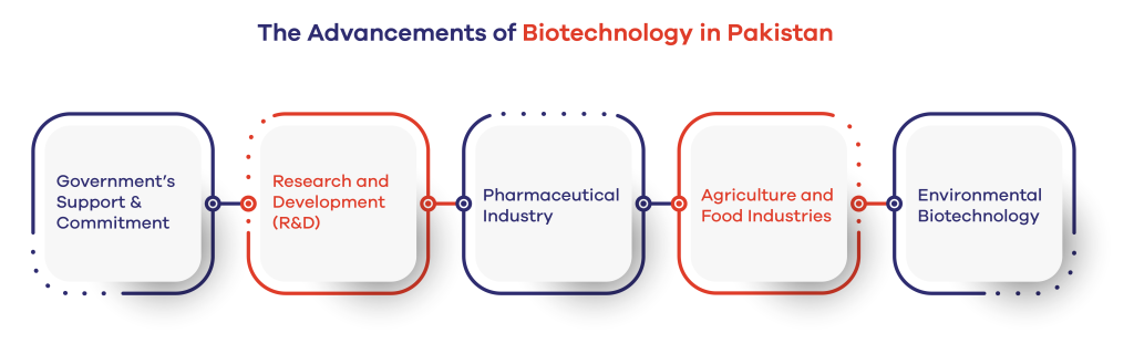 How Important Is Biotechnology in Our Daily Lives?