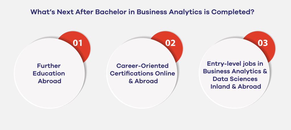 Career Growth with a Bachelor of Business Analytics